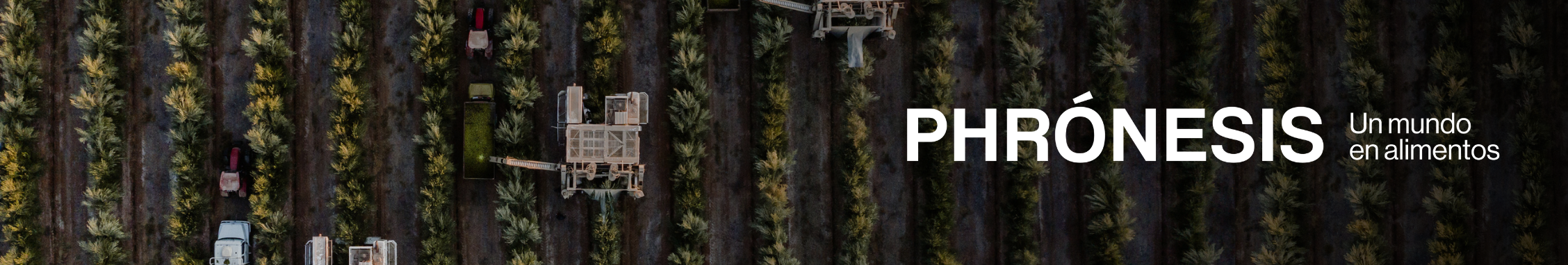 ¡Oportunidades de Empleo en Grupo PHRÓNESIS!